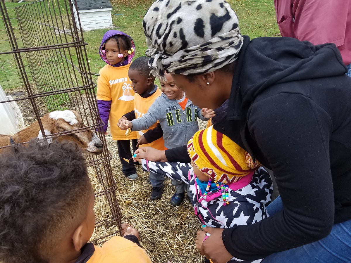 Pumpkins & Preschoolers | Early Steps Learning Center